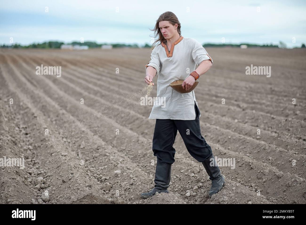 A young peasant of the Scandinavian appearance sows the field with ...