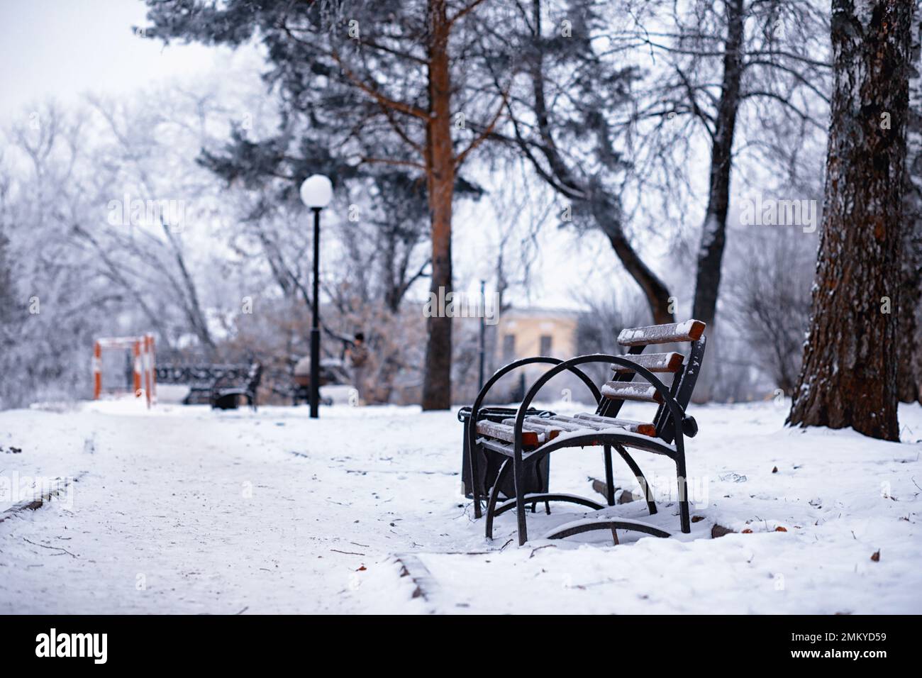 park bench on a winter alley at snowfall. bench with snow after ...