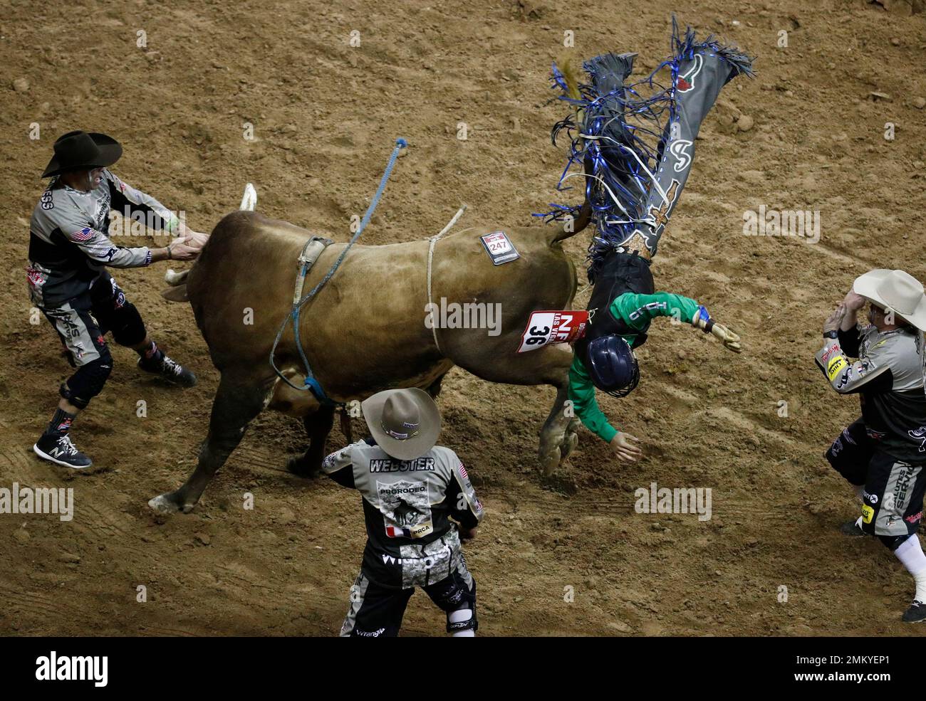 Chase Dougherty, of Canby, Ore., is bucked off his bull in the bull ...