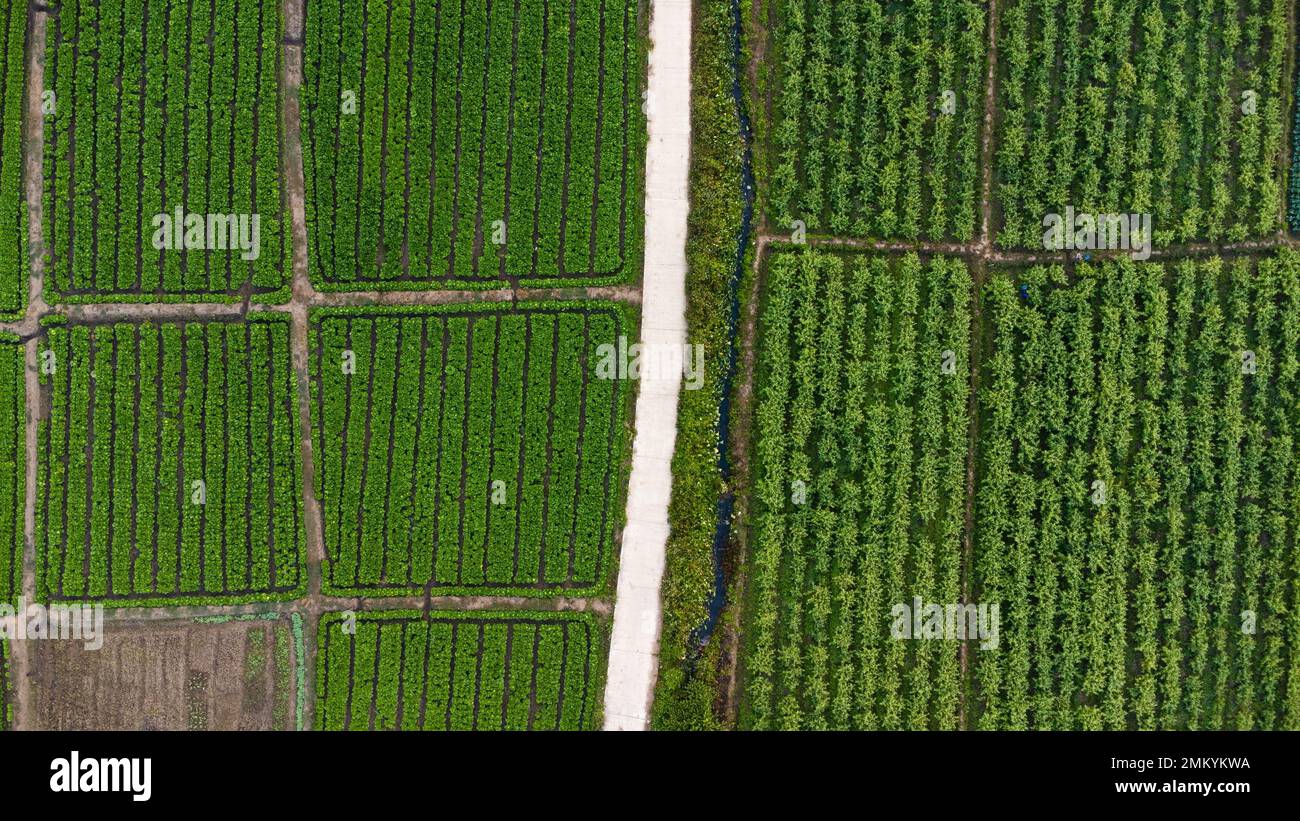 Agricultural parcels hi-res stock photography and images - Alamy