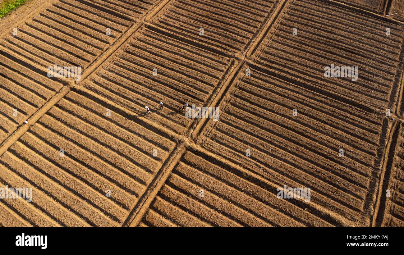 Aerial view of farmer preparing land with seedbed cultivator as part of ...
