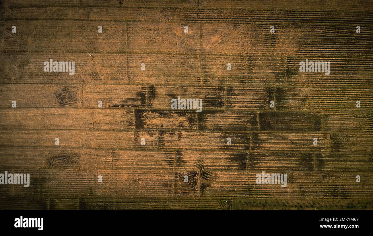 Aerial view of furrows row pattern in a plowed field prepared for ...