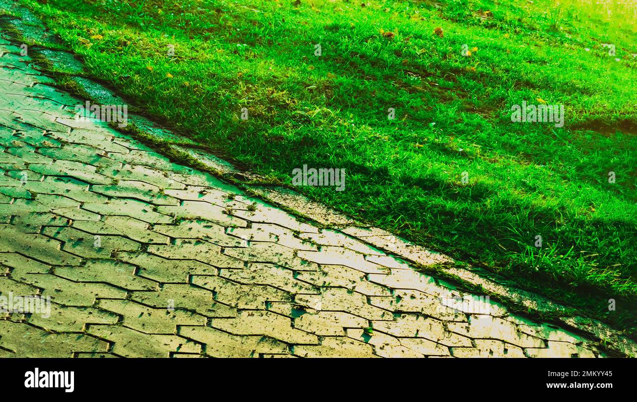 Summer morning warm sun reflect footpath garden paving stones landscape ...