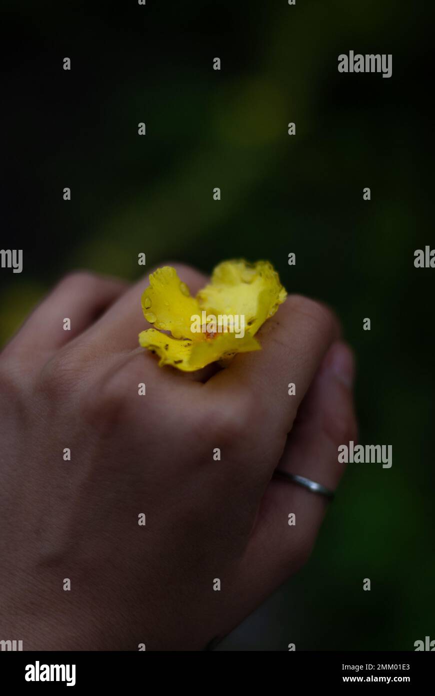 Girls hand in yellow hi-res stock photography and images - Alamy
