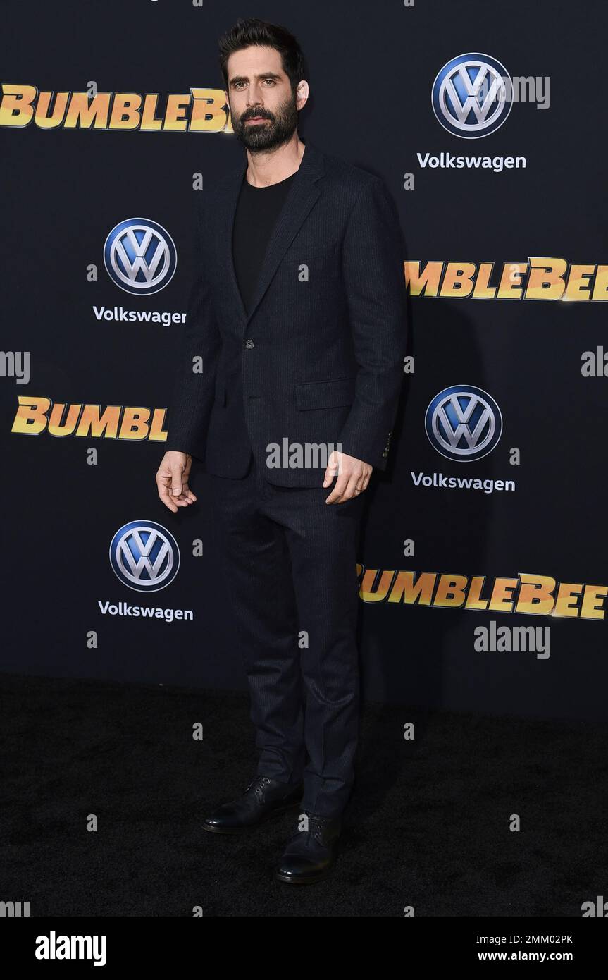 Stephen Schneider attends the LA premiere of "Bumblebee" at TCL Chinese ...