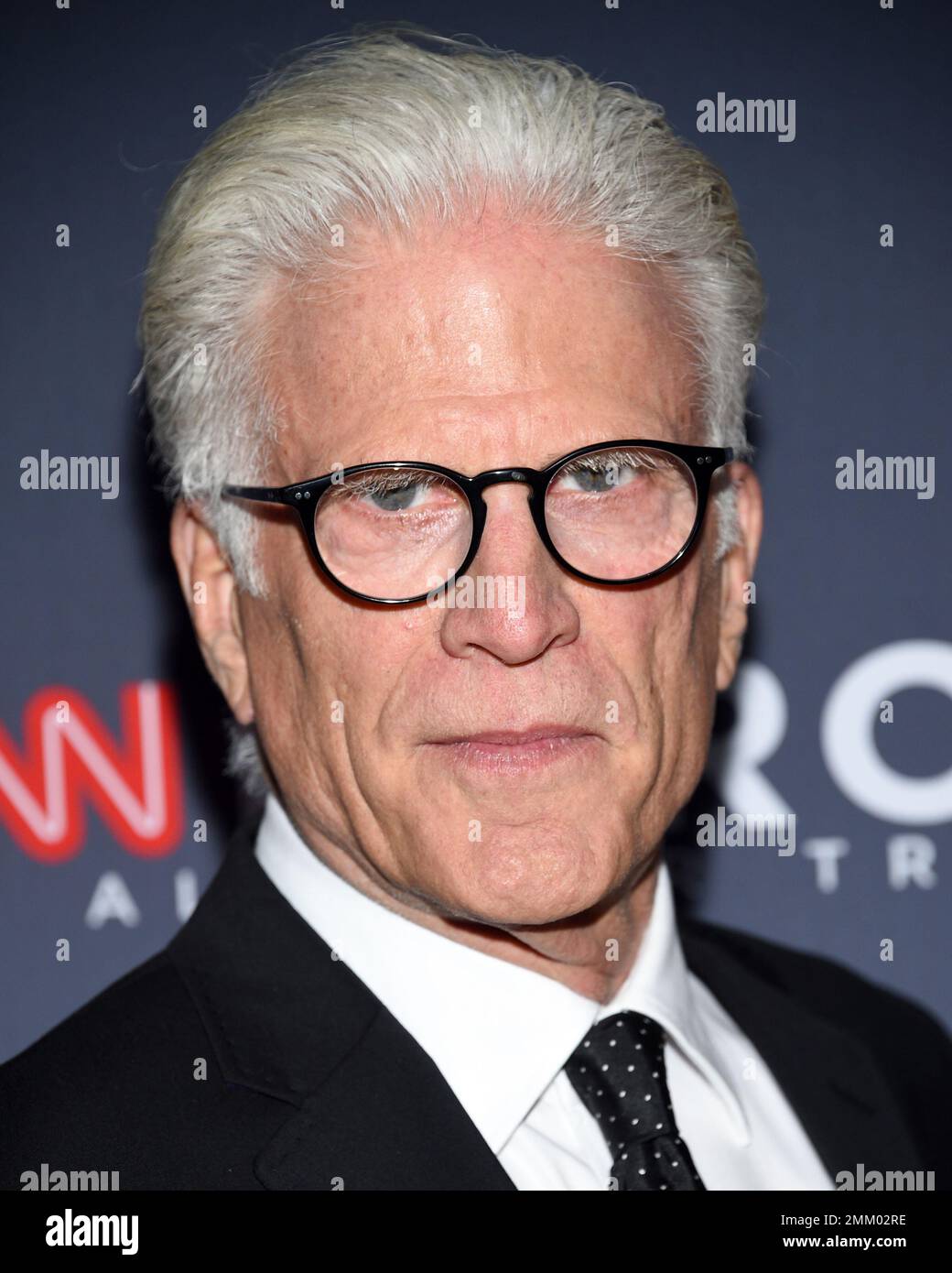 Actor Ted Danson attends the 12th annual CNN Heroes: An All-Star ...