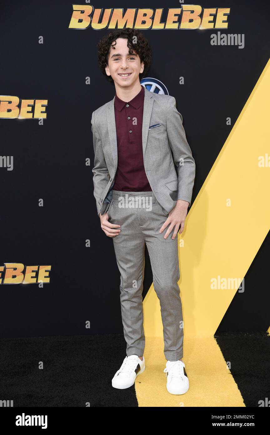 Jason Drucker attends the LA premiere of "Bumblebee" at TCL Chinese ...