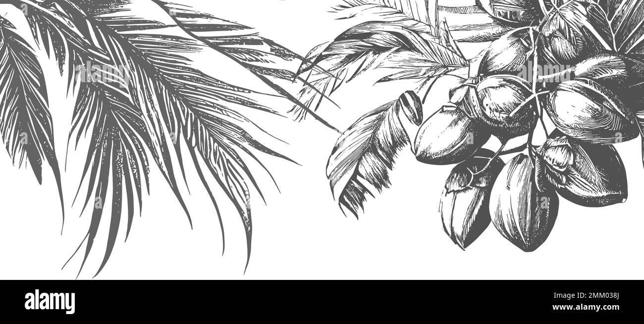 Ink drawn dates with leaves. Ripe fruits hang from the branches.Border ...