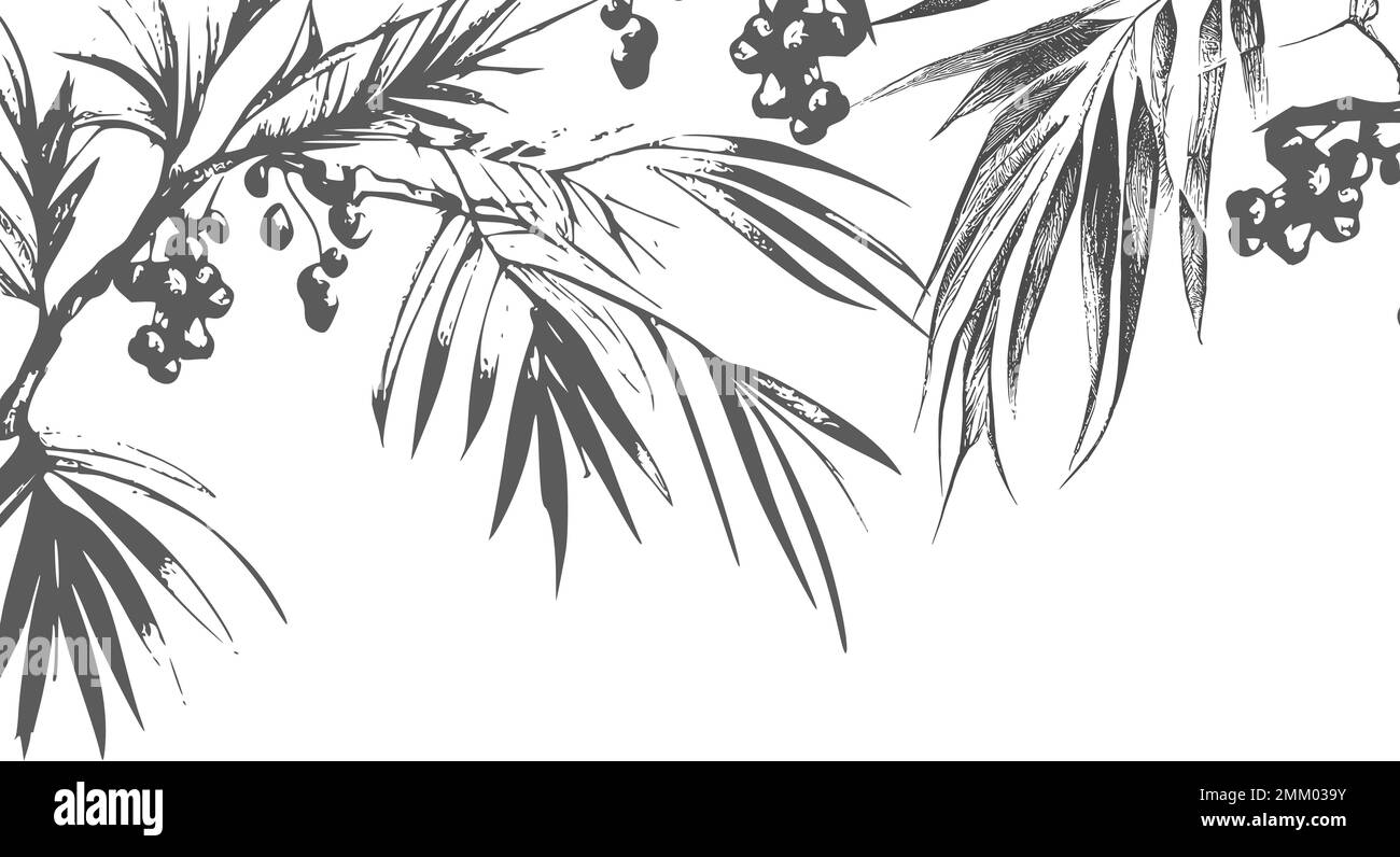 Ink drawn dates with leaves. Ripe fruits hang from the branches.Border ...