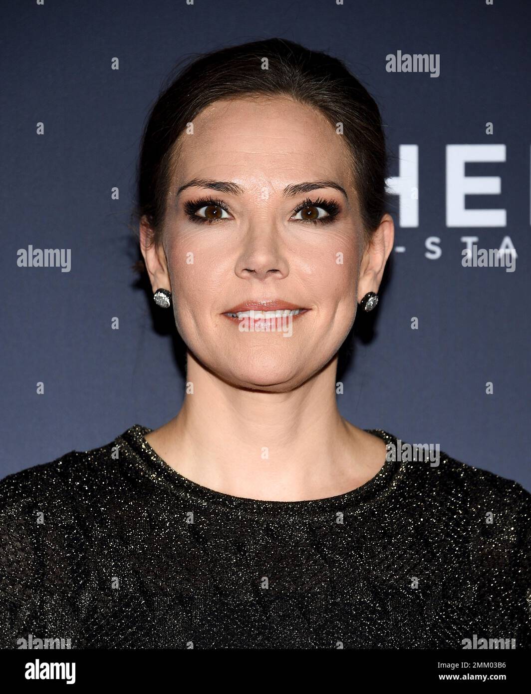 Cnn Anchor Erica Hill Attends The 12th Annual Cnn Heroes An All Star