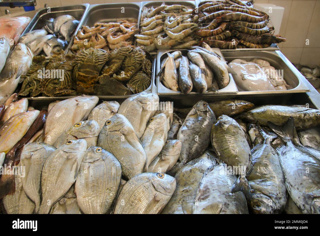 Fish Market at Ras Al Khaimah (RAK) (historically Julfar) is the ...