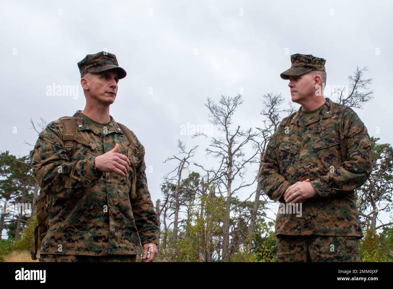 U.S. Marine Corps (left) Lt Col. Charles E. Miller, Commanding Officer of 2d Light Armored ...