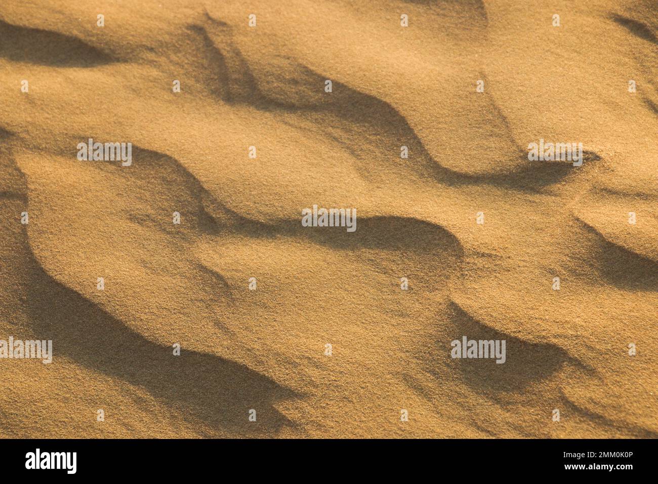 Arabian desert landscapes hi-res stock photography and images - Alamy