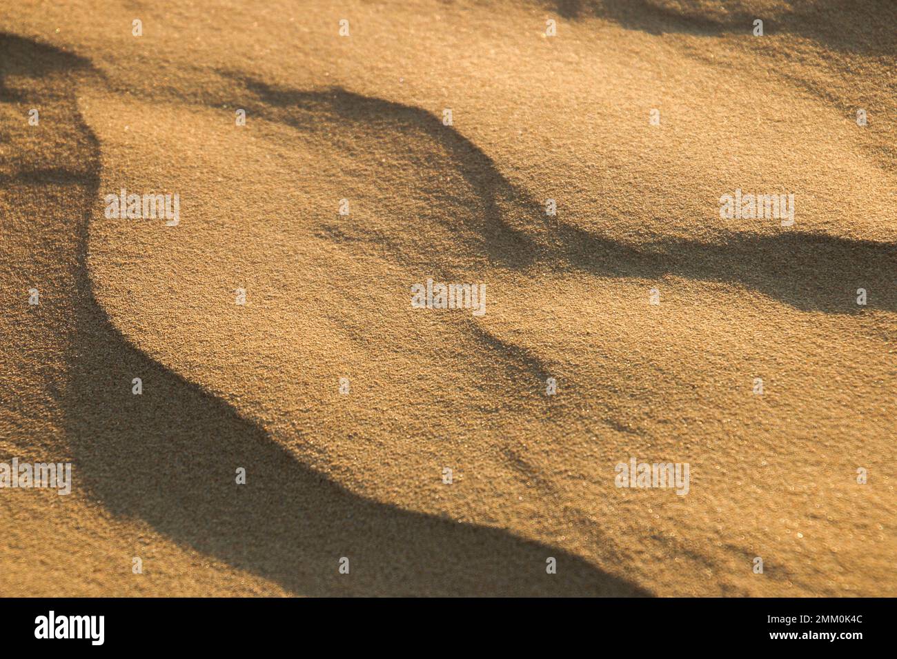 Desert landscape and touring United Arab Emirates Stock Photo - Alamy