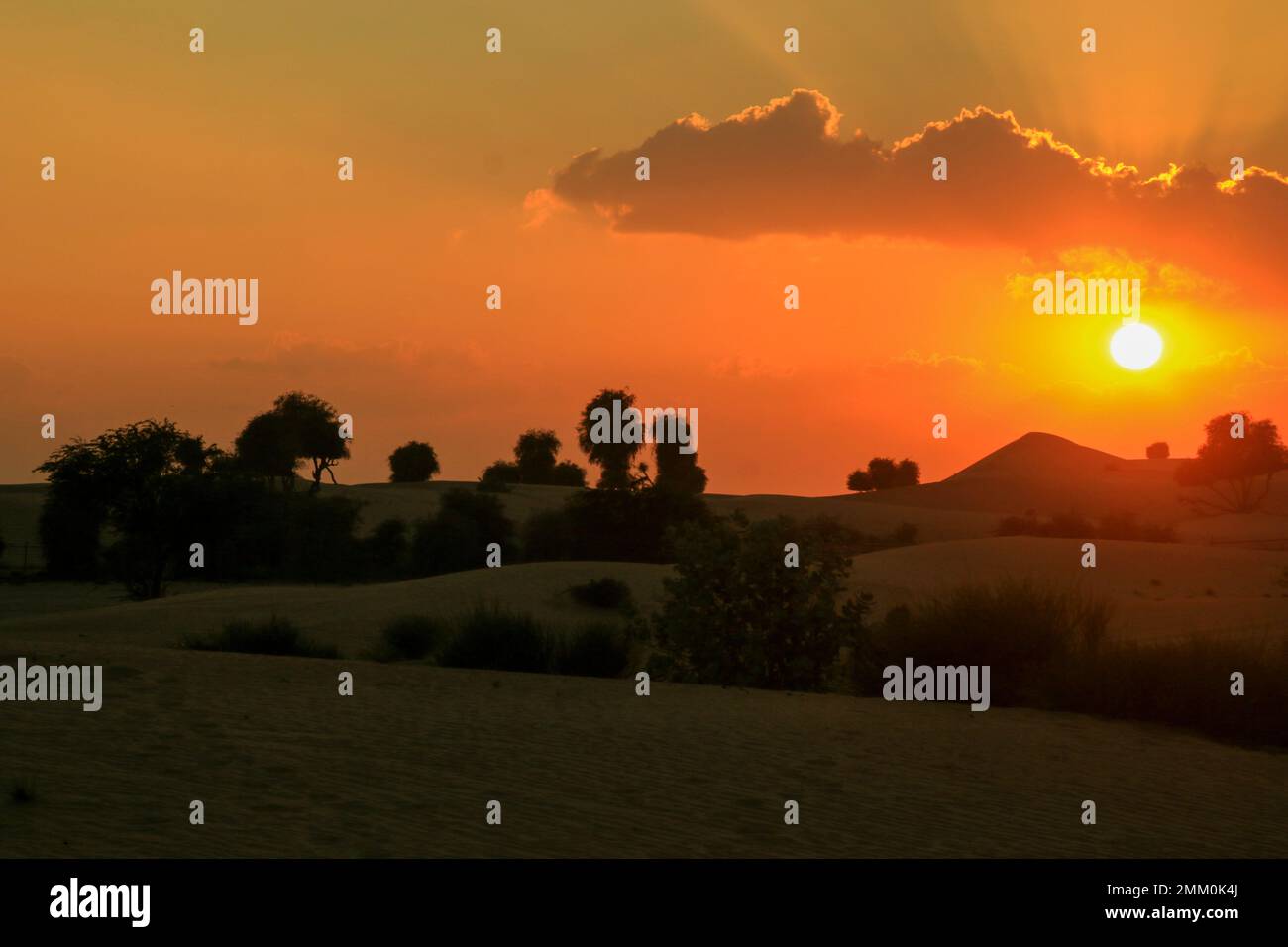 Desert landscape and touring United Arab Emirates Stock Photo - Alamy