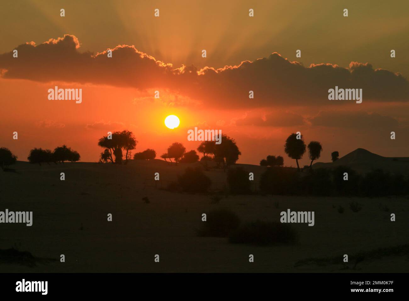 Emirates desert sun hi-res stock photography and images - Alamy