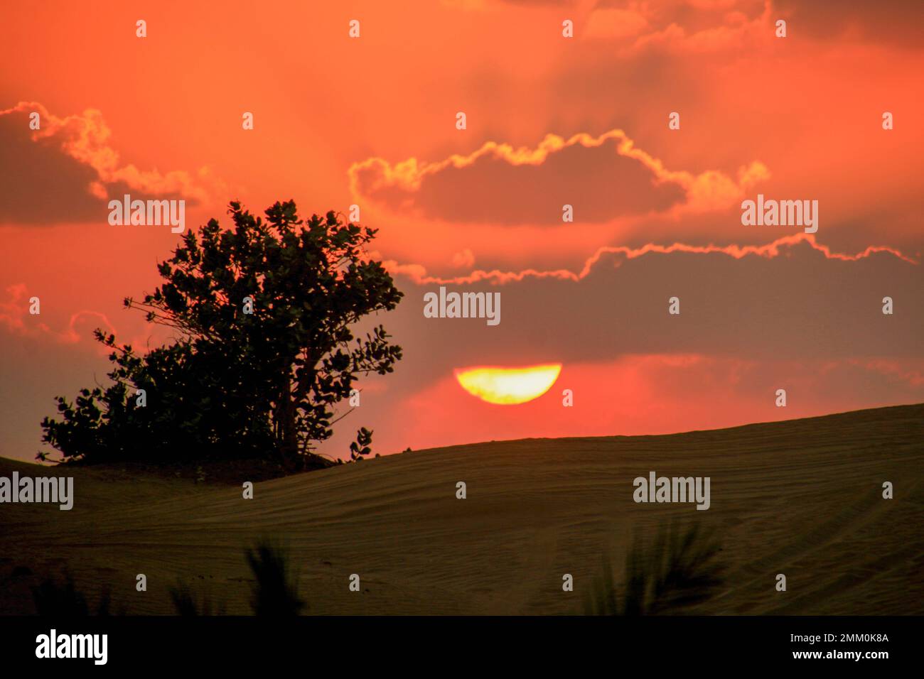 Sun dune uae hi-res stock photography and images - Alamy