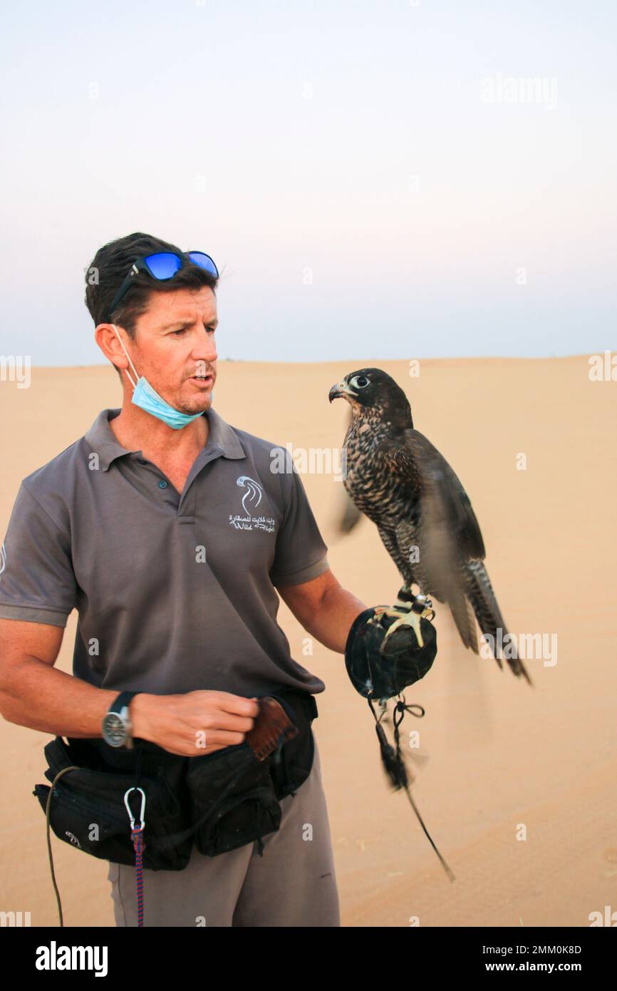 Birds in uae hi-res stock photography and images - Alamy