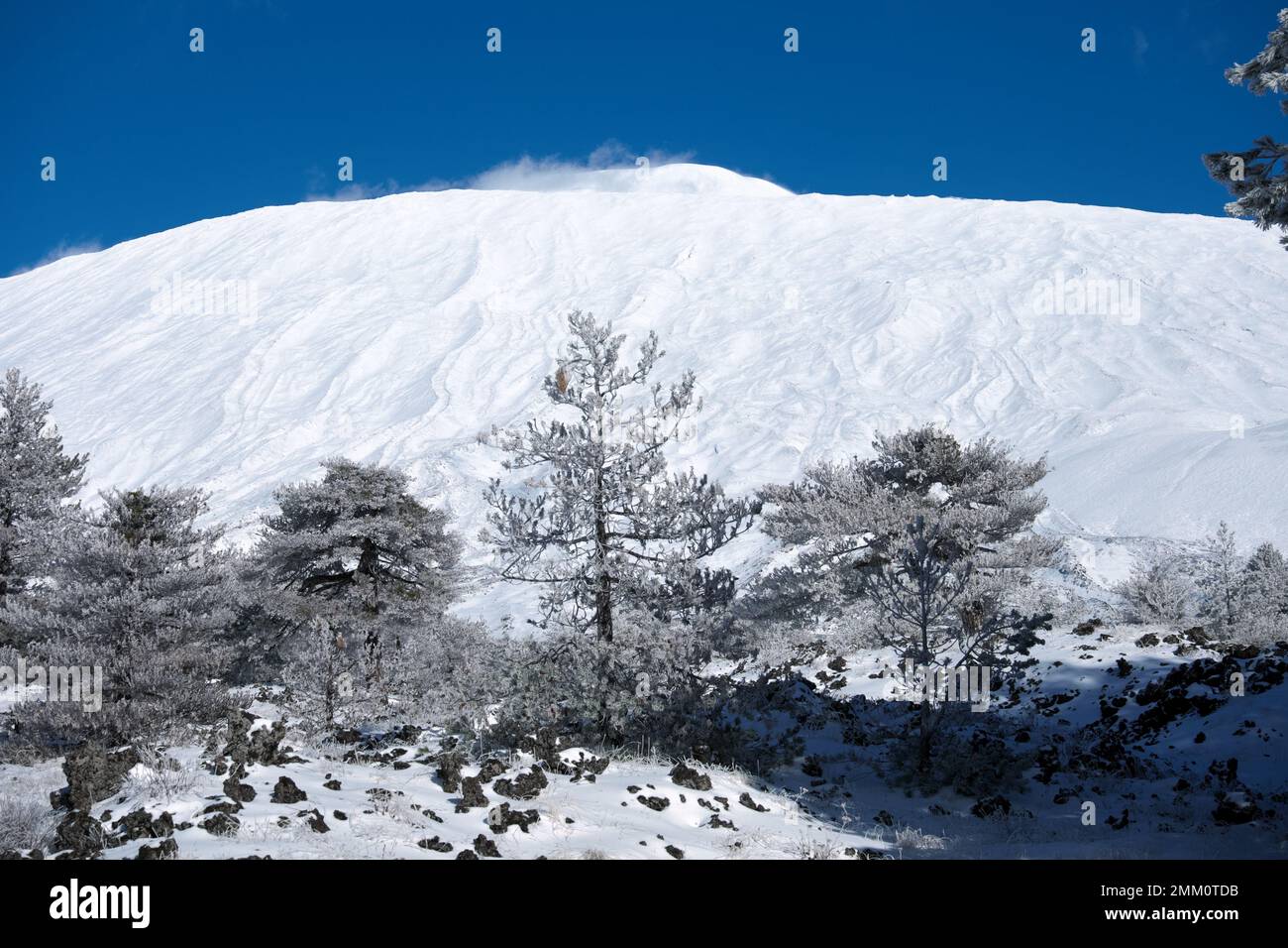frost on winter pine trees and Etna Mountain ridge from Galvarina ...