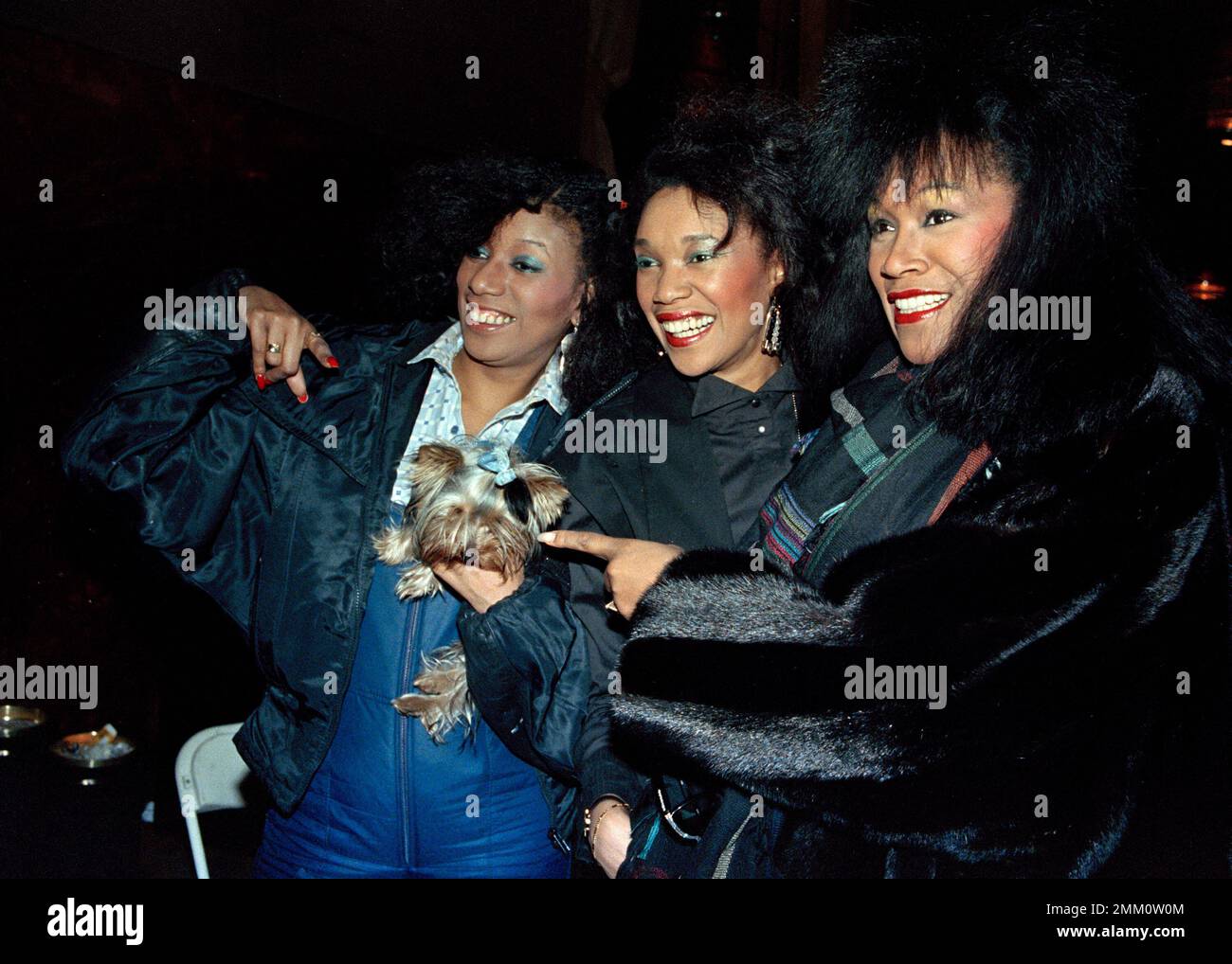 The Pointer Sisters are pictured at rehearsals for "Night of 100 Stars ...