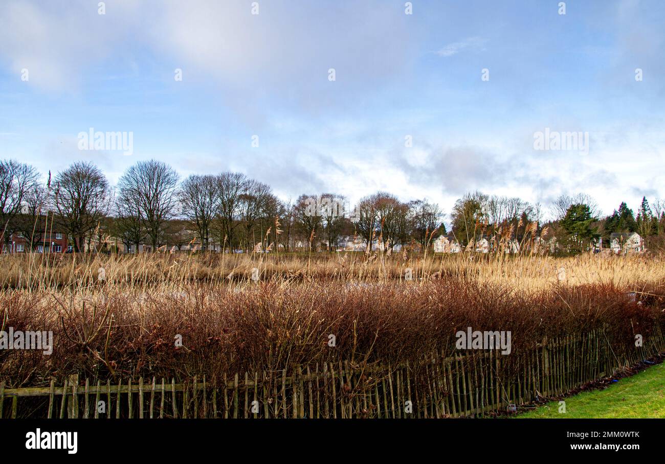 Mild sunshine dundee hi-res stock photography and images - Alamy