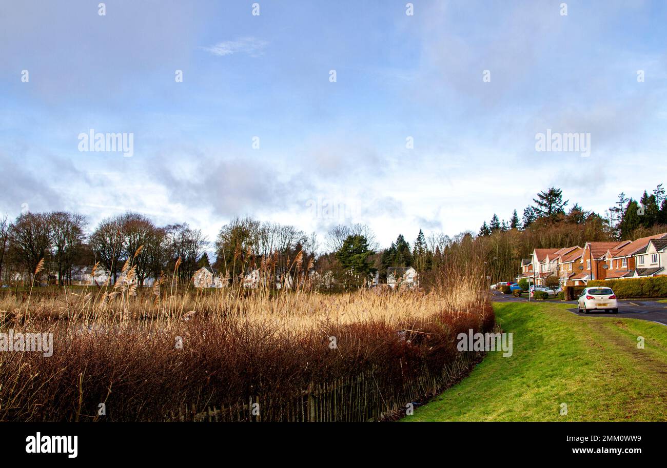 Ardler village dundee hi-res stock photography and images - Alamy