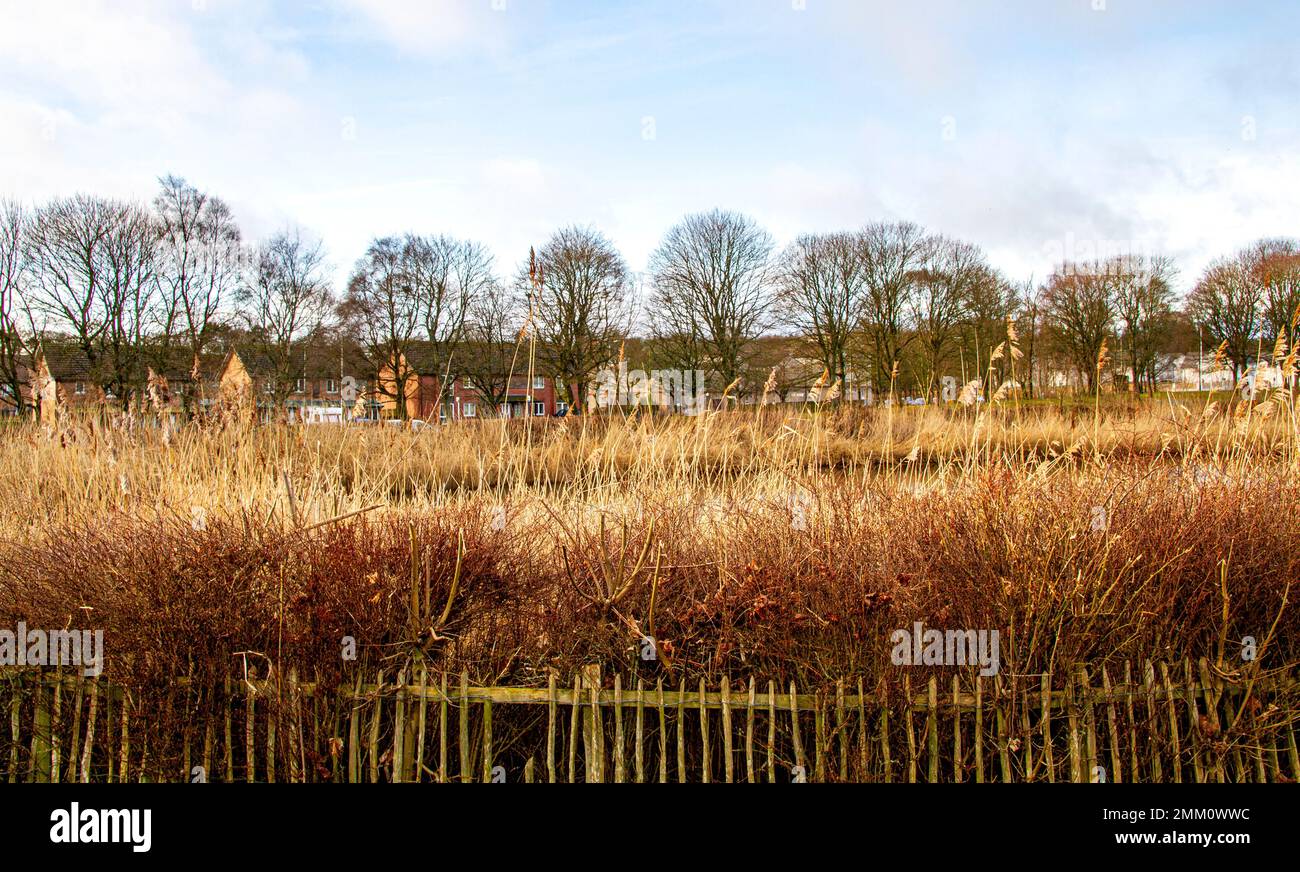 Ardler village dundee hi-res stock photography and images - Alamy