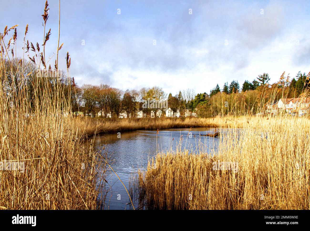 Mild sunshine dundee hi-res stock photography and images - Alamy