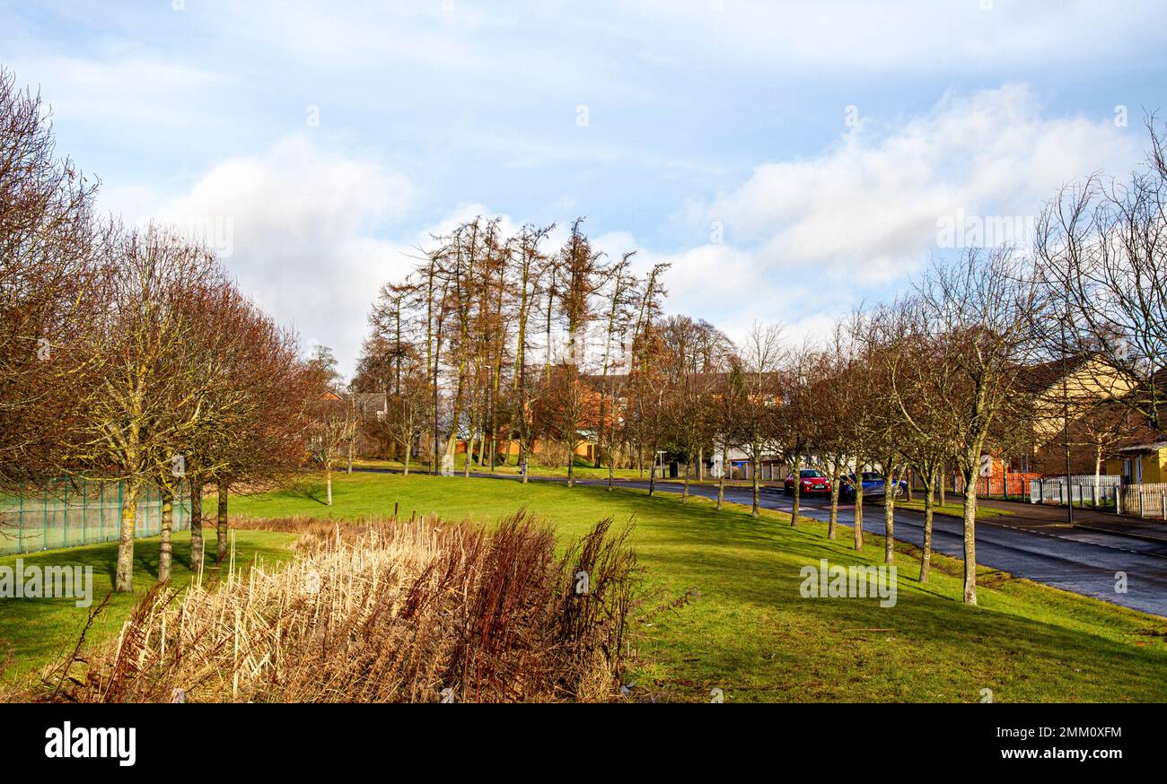 Ardler shops dundee hi-res stock photography and images - Alamy