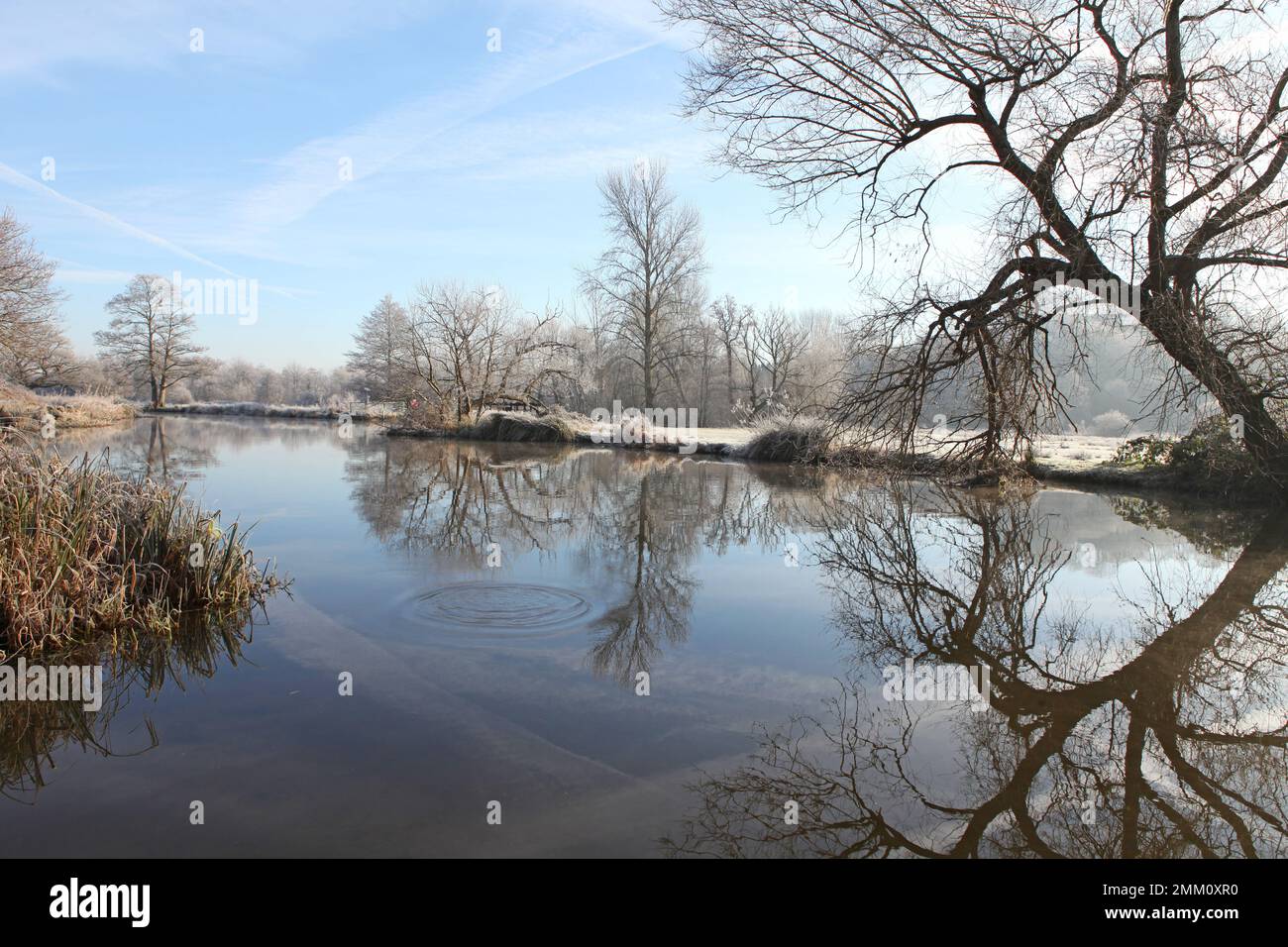 A still River Wey on a cold frosty morning, Surrey, UK Stock Photo - Alamy