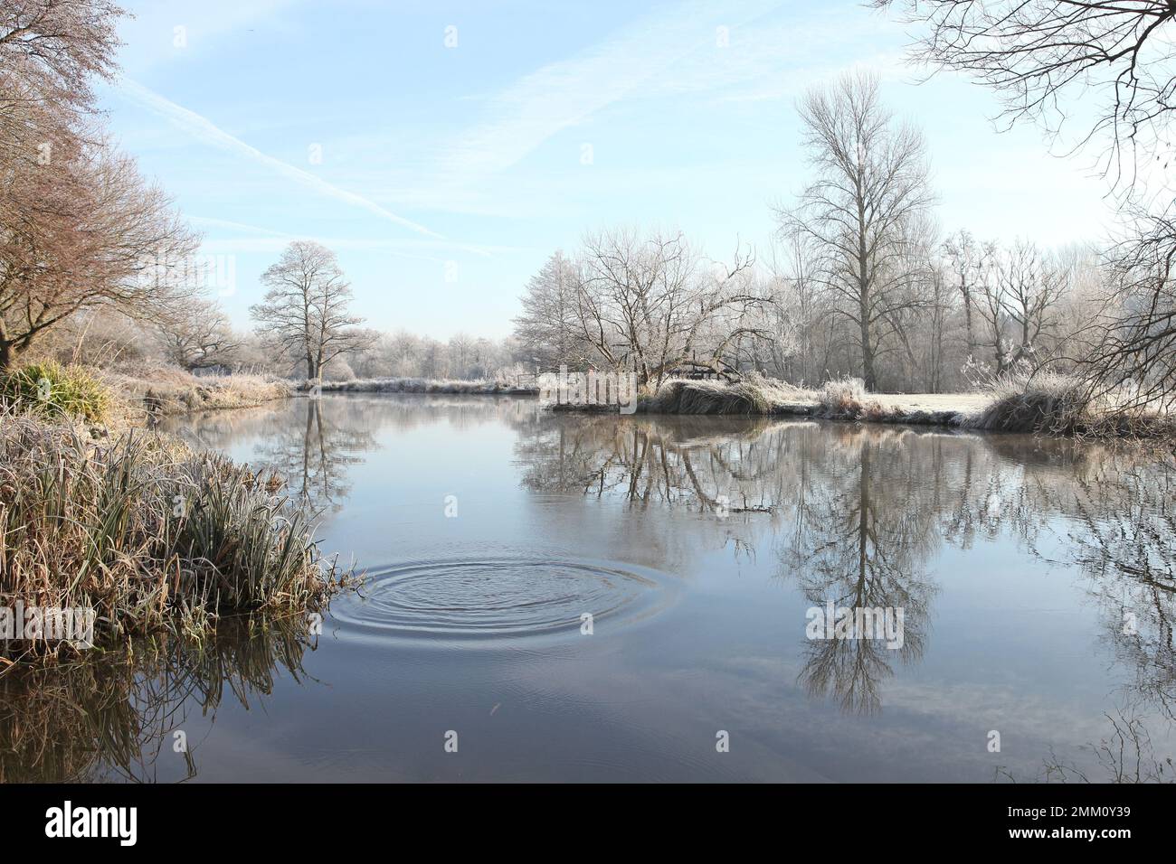 A still River Wey on a cold frosty morning, Surrey, UK Stock Photo - Alamy