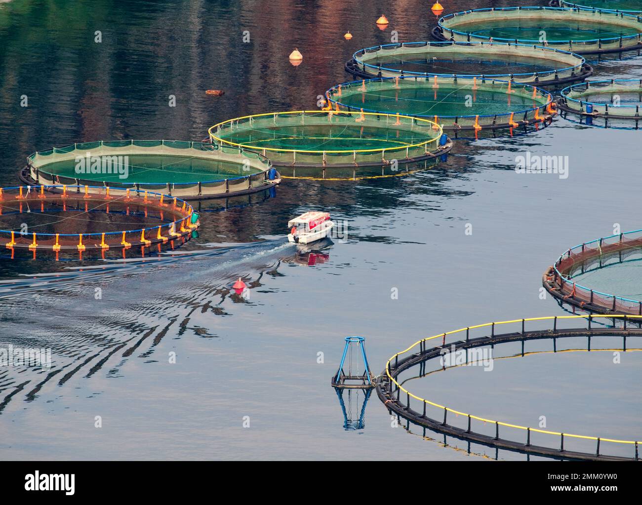 Aqua farms hi-res stock photography and images - Alamy