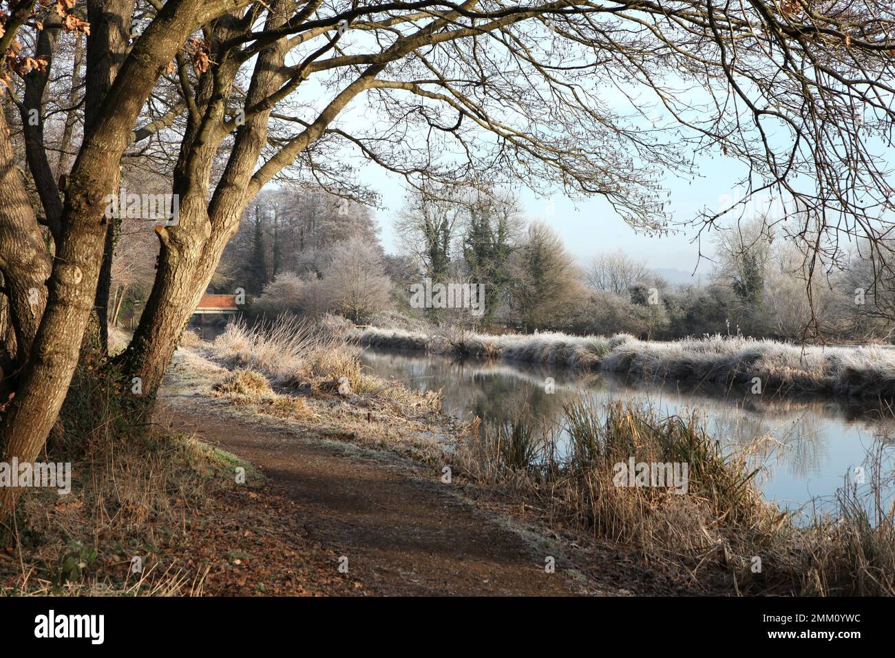 A still River Wey on a cold frosty morning, Surrey, UK Stock Photo - Alamy