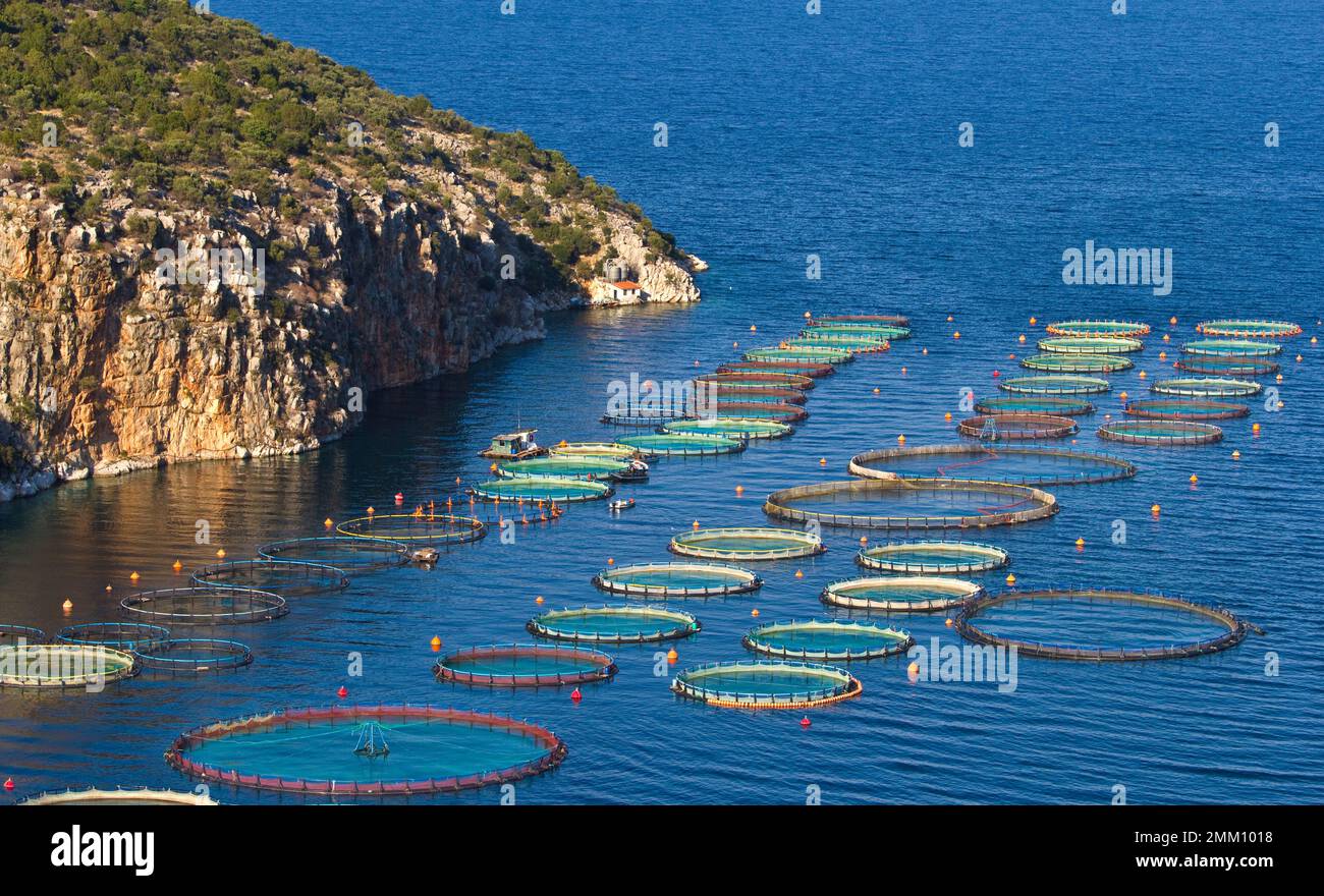 Aqua farms hi-res stock photography and images - Alamy