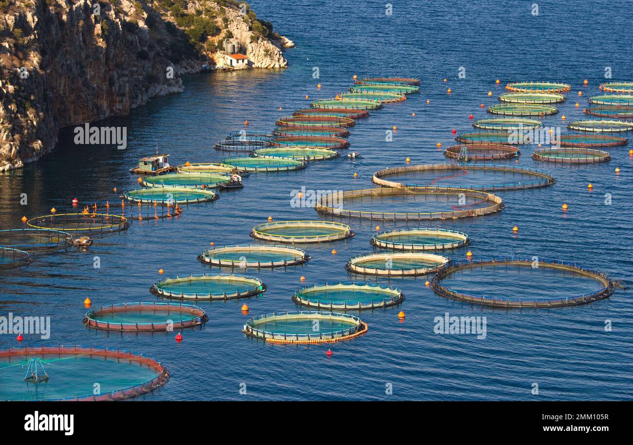 Aqua farms hi-res stock photography and images - Alamy