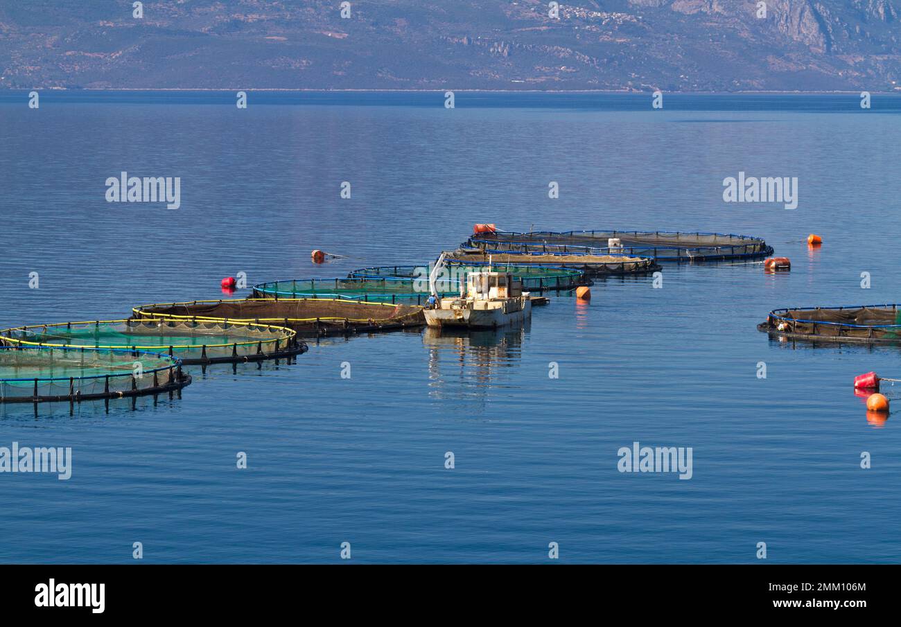 Aqua farms hi-res stock photography and images - Alamy