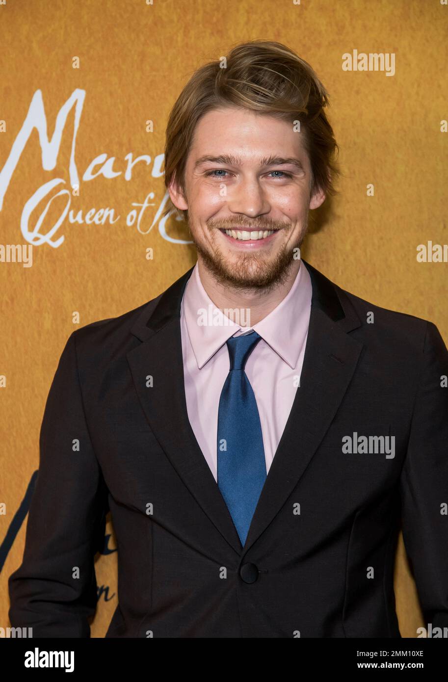 Joe Alwyn attends the premiere of "Mary Queen of Scots" at The Paris ...