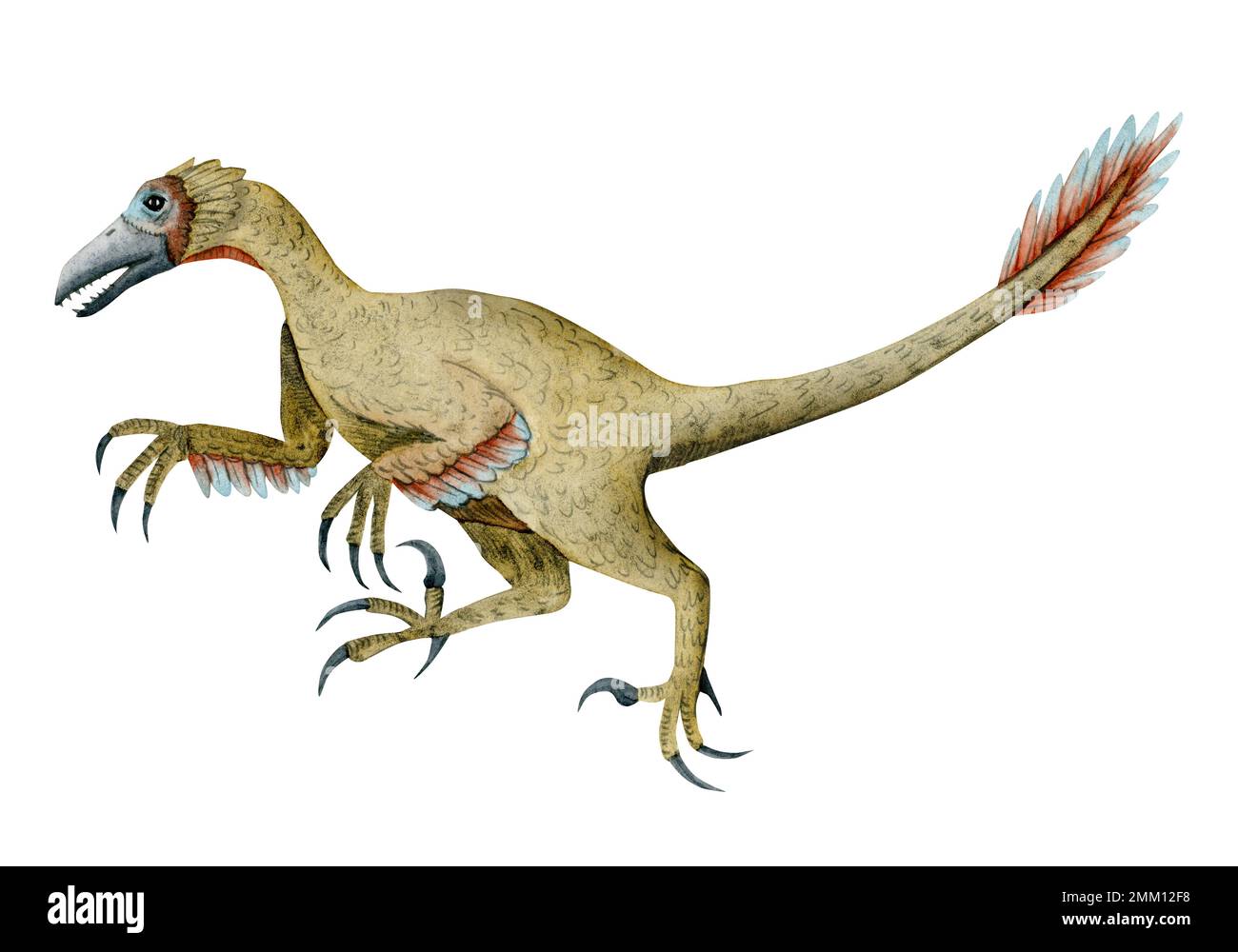 Running velociraptor watercolor illustration. Prehistorical dinosaur ...