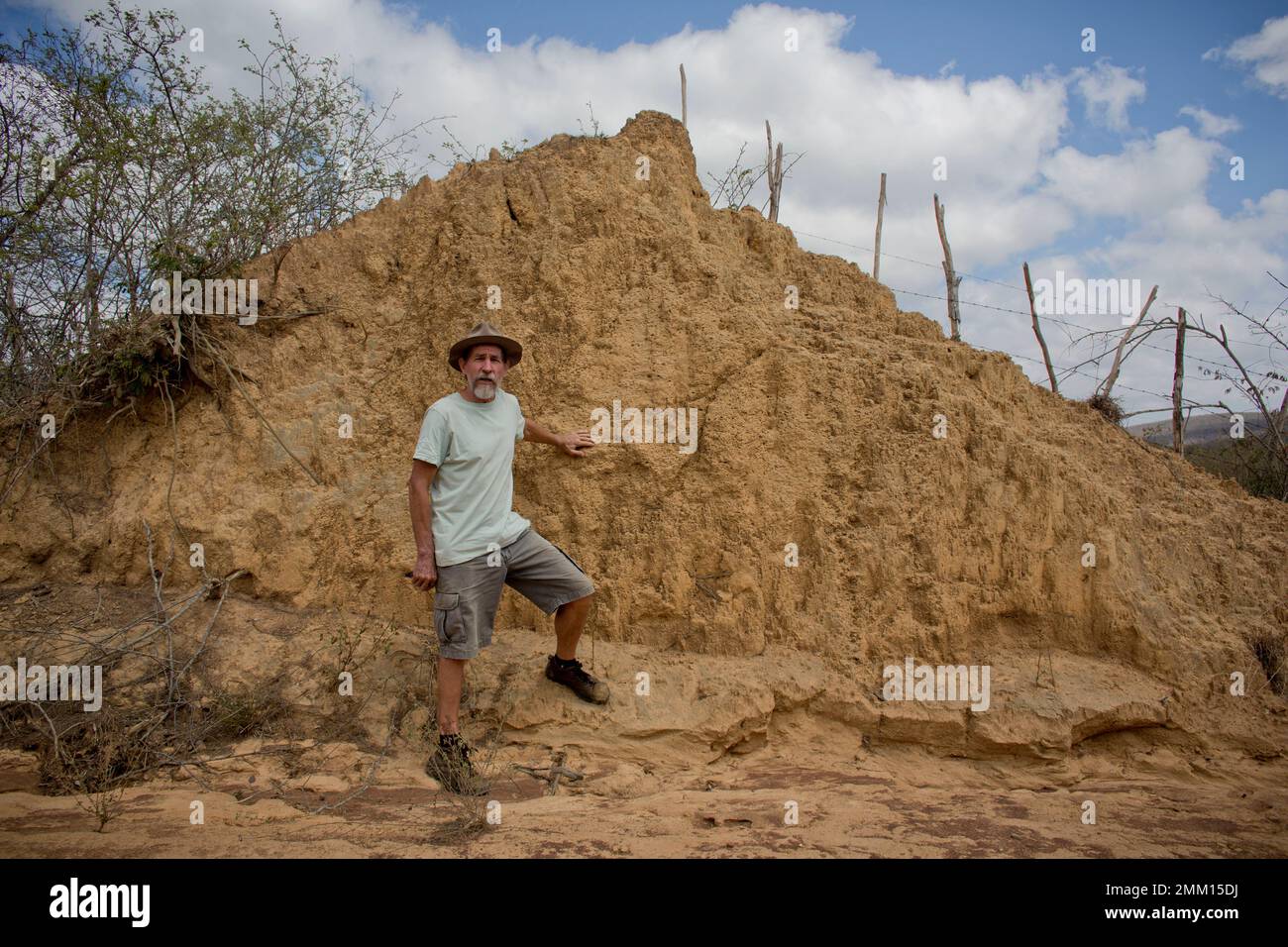 American botanist Roy Funch poses next to a giant termite mound near ...