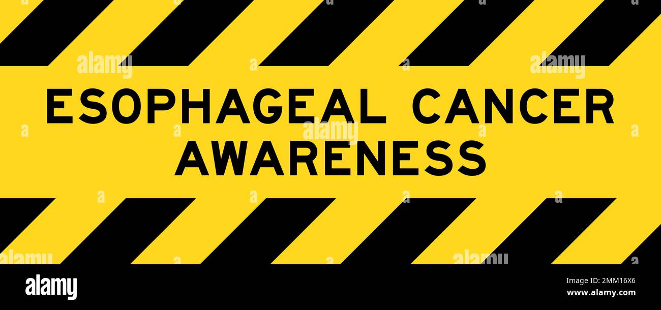 Yellow and black color with line striped label banner with word ...