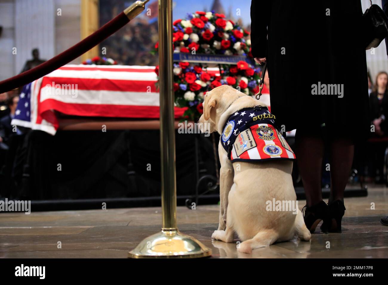 Sully, former President George H.W. Bush's service dog, pays his ...