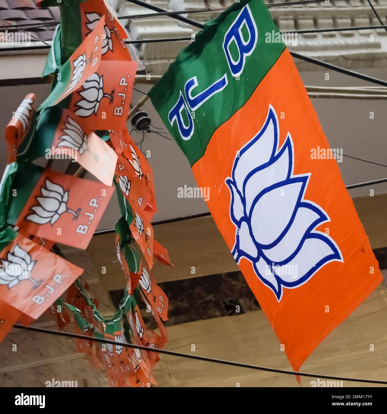 Delhi, India, December 02 2022 -Bharatiya Janata Party (BJP) supporter ...