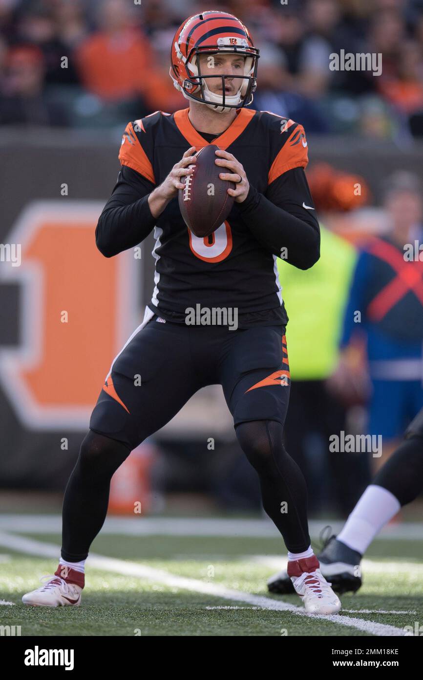 Cincinnati Bengals quarterback Jeff Driskel (6) prepares to throw the ...