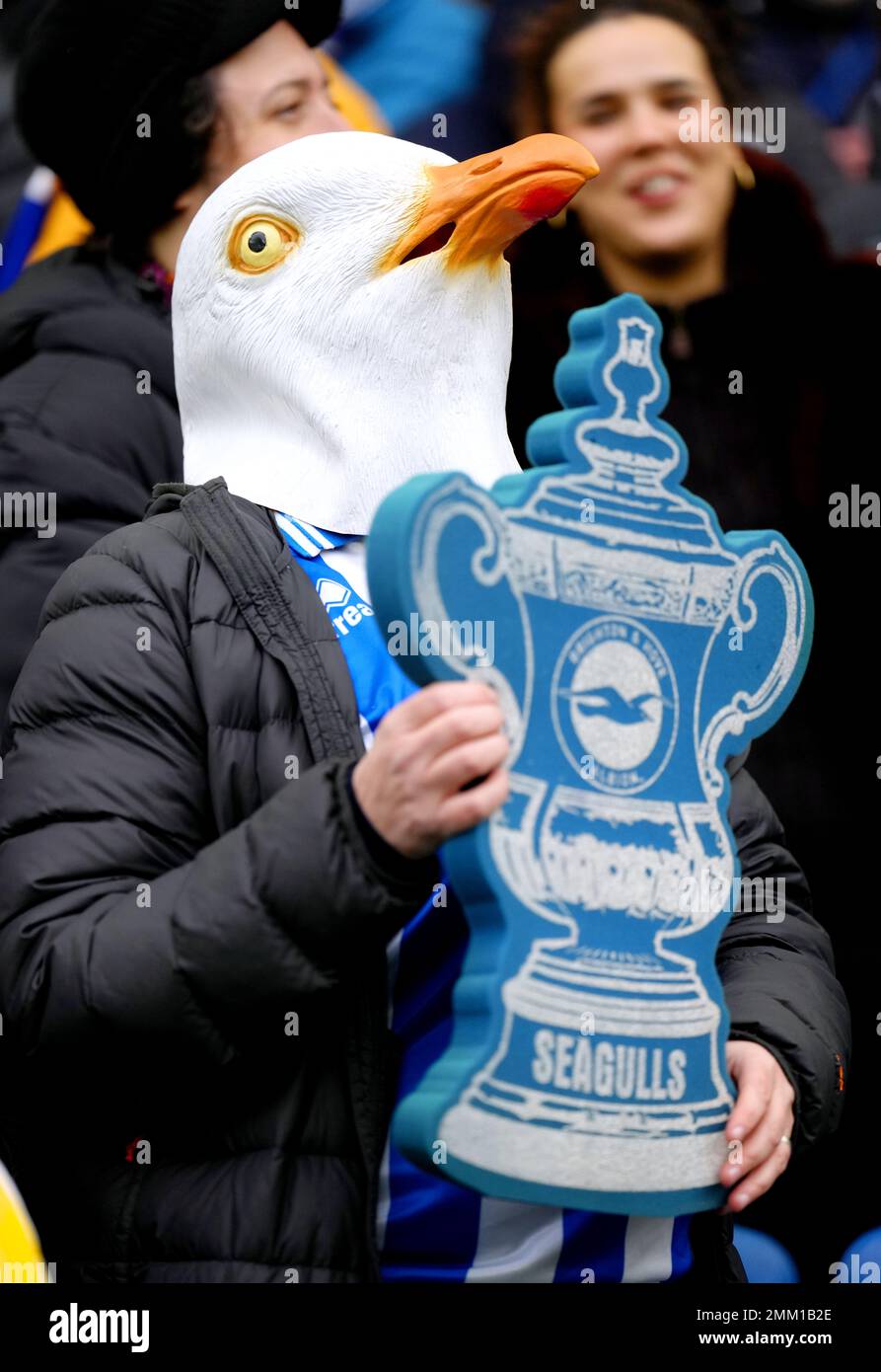 A Brighton and Hove Albion fan wearing a seagull mask holds up a ...