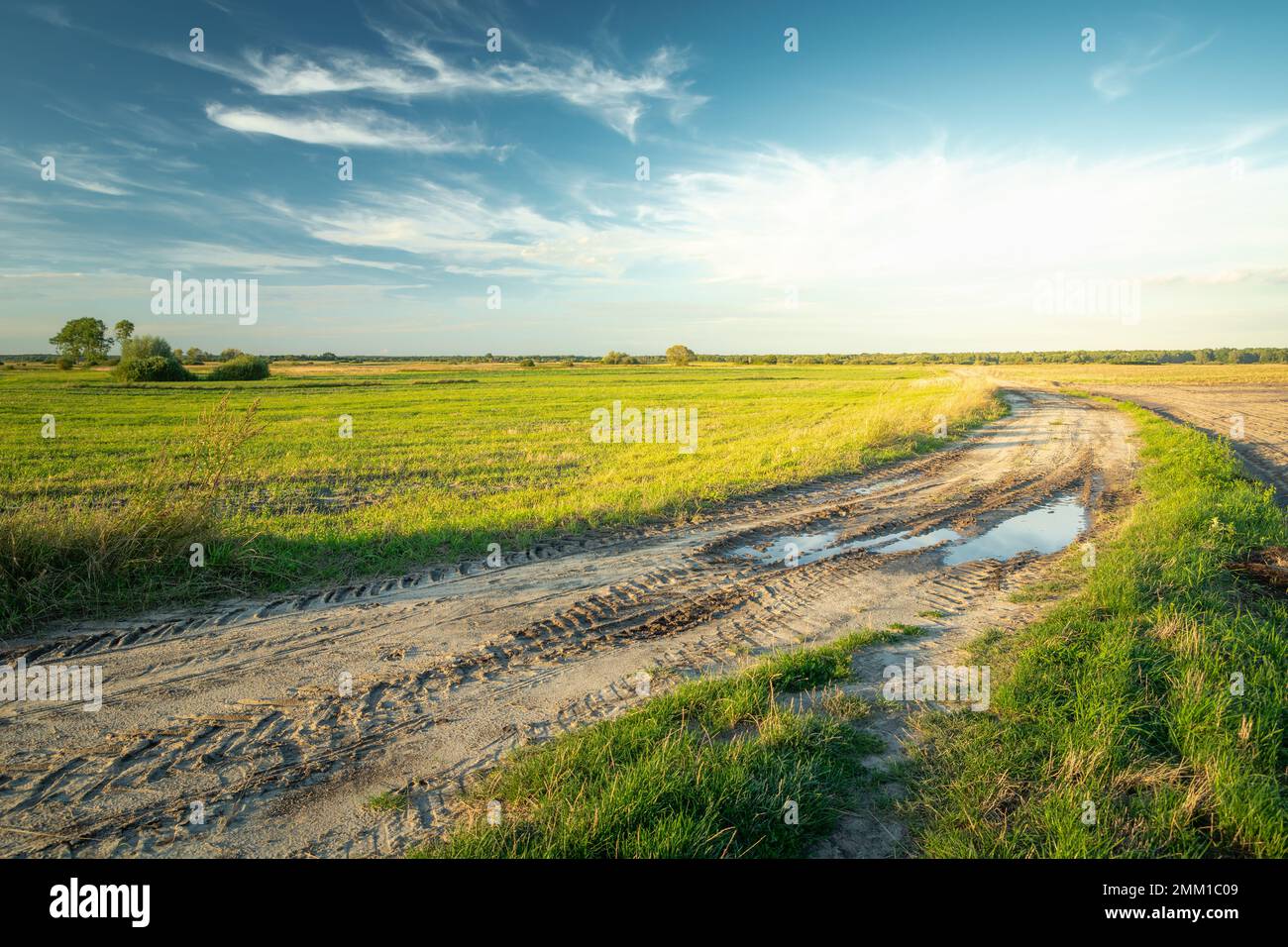 Sandy road with a puddle through rural fields and white clouds on the ...