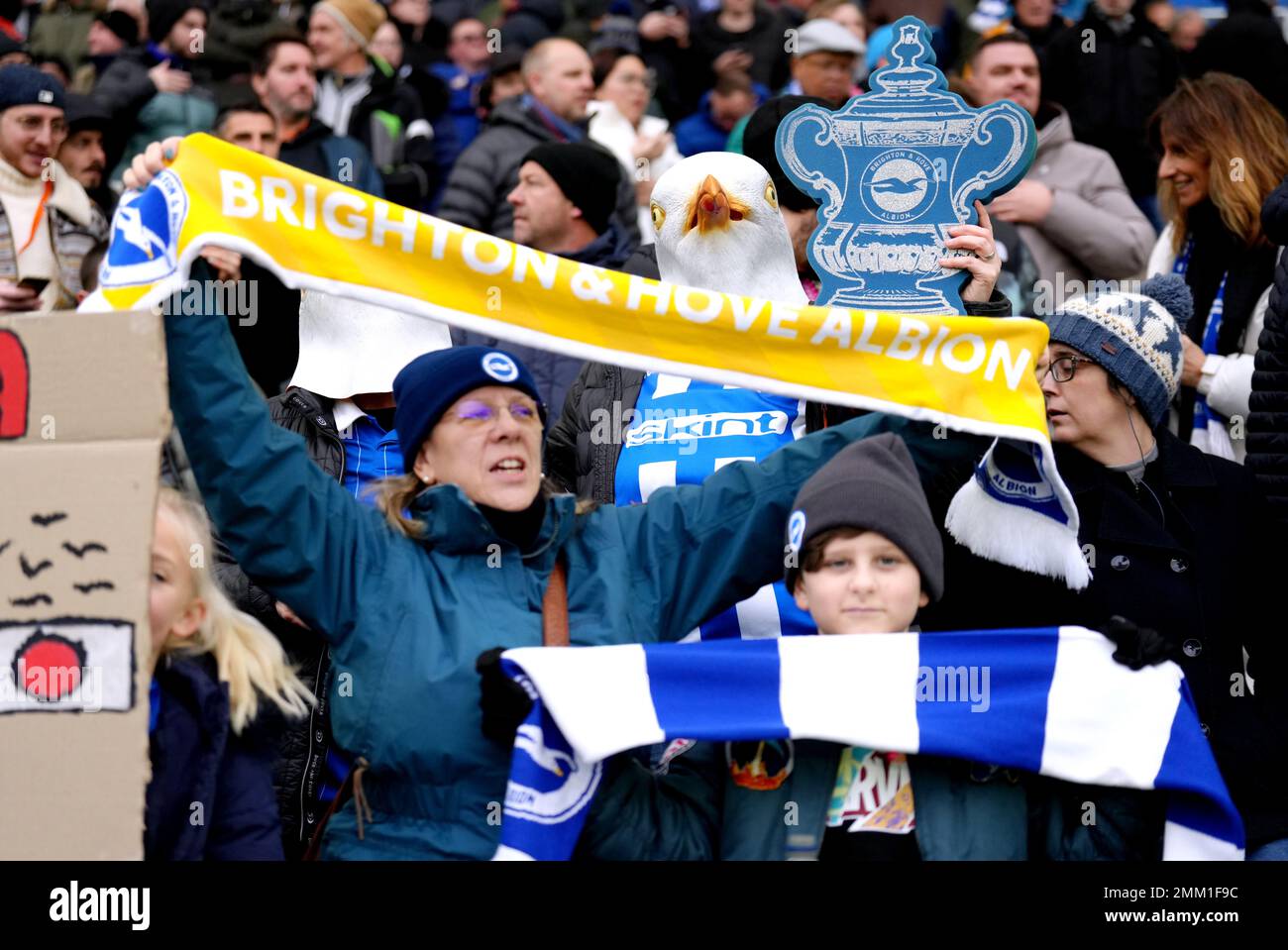 A Brighton and Hove Albion fan wearing a seagull mask holds up a ...