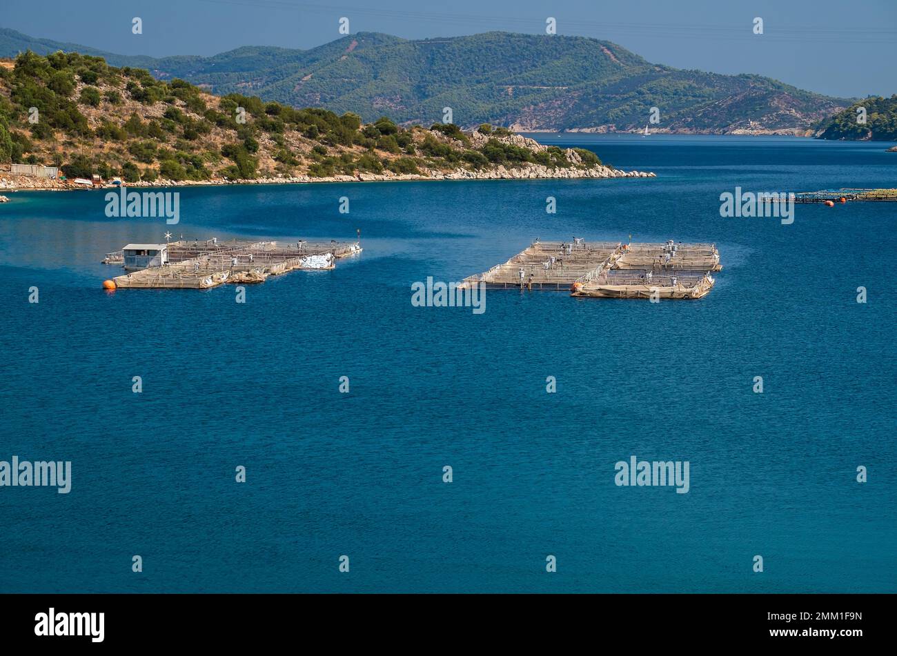 Aqua fish farming hi-res stock photography and images - Alamy