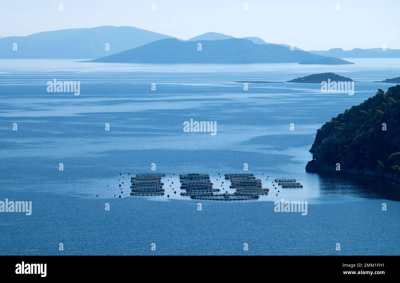 Aqua farms hi-res stock photography and images - Alamy
