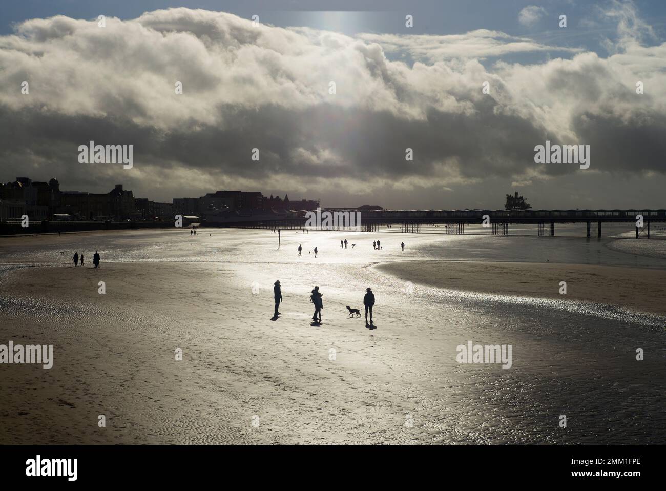 Photograph by John Angerson. Dog walkers on the wide beach of Weston ...