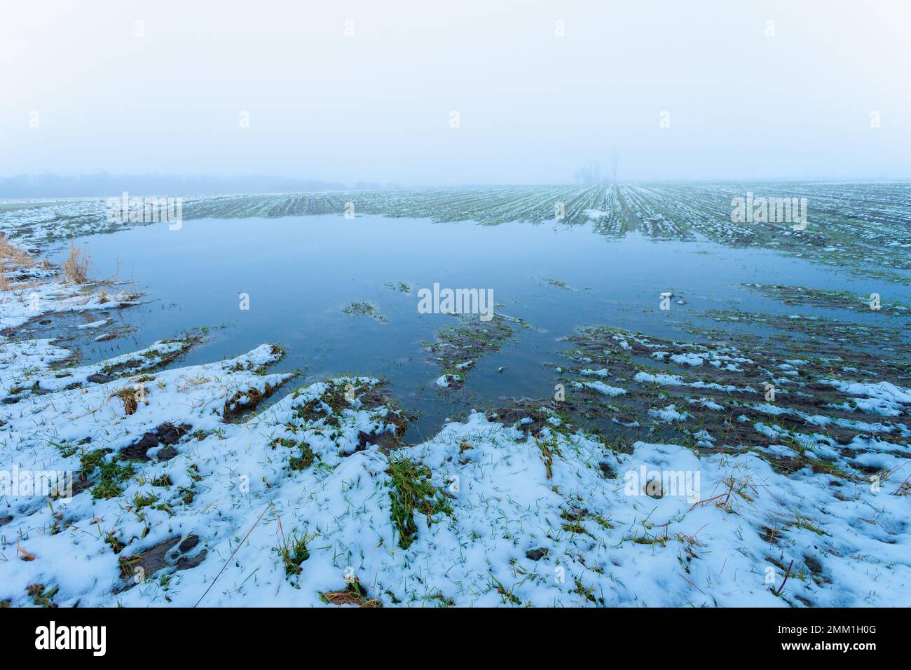 Water from melting snow on a rural field, view on a foggy day ...